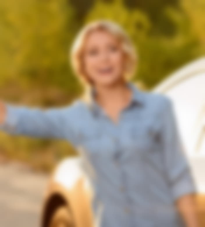 Predefined Sections - Advanced Driver Assistance Systems (ADAS)